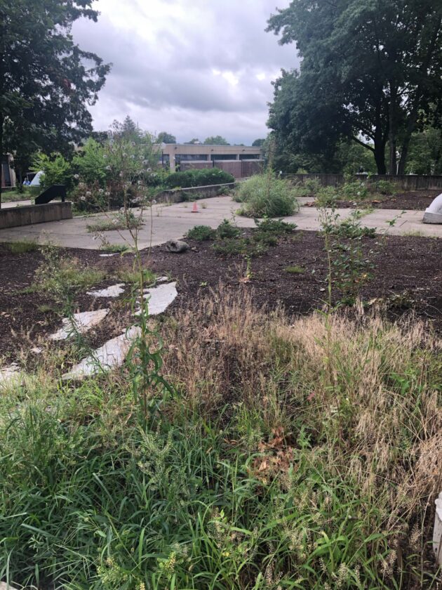 Library Plaza renovation gets favorable nod from aldermanic committee ...